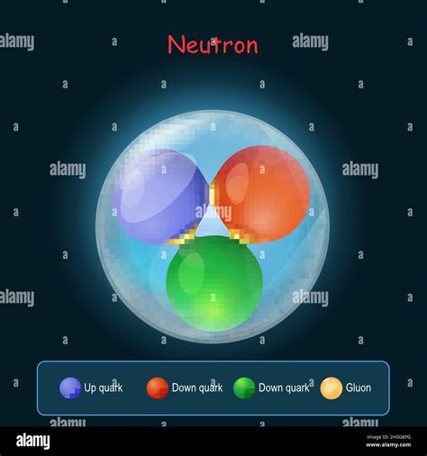 Neutron Structure Up Quark Gluon And Down Quark Subatomic Particle