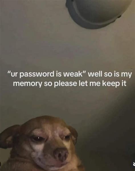 The Best Password Memes Memedroid