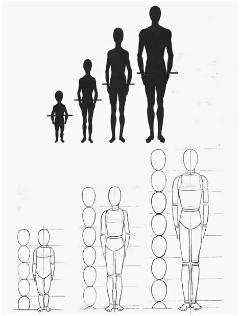 Рисунок человека в полный рост с пропорциями Фотоподборки 1