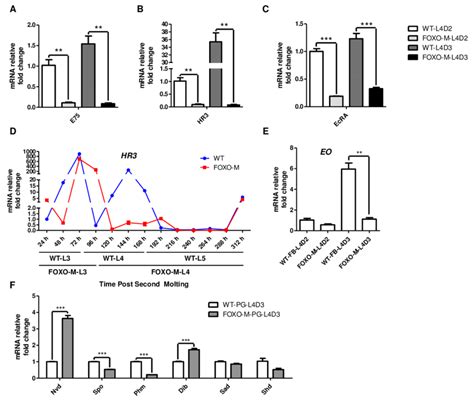 Expression Differences Of Ecdysone Pathway Genes In Mutants A C