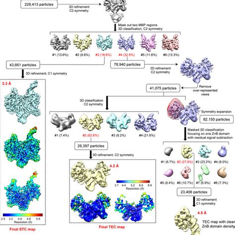 Validation Of Cryo Em Structural Models A Half Map Fsc And Model Map Download Scientific