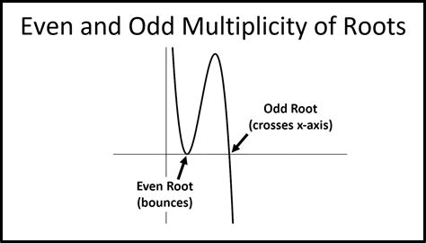 Polynomials Roots And Multiplicity