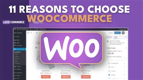11 Reasons To Choose Woocommerce