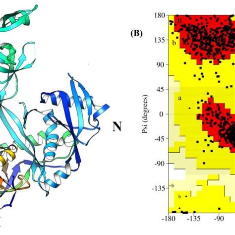 A The Cartoon Representation Of The Structure Of Human Argonaute 2