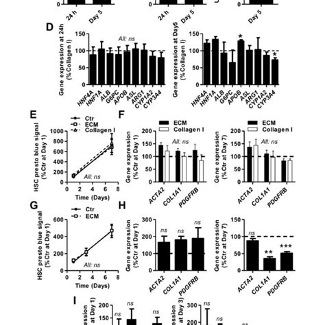 Composition Of Solubilized Human Liver Extracellular Matrix Hl Ecm A Download Scientific