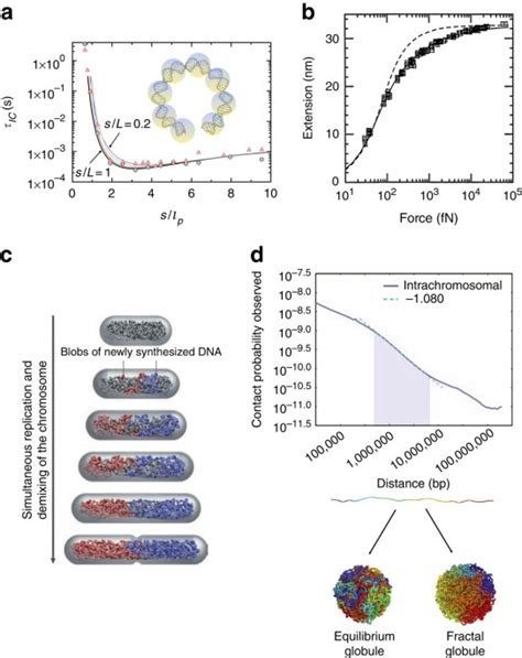 Capturing The Essence Of Folding And Functions Of Biomolecules Using Coarse Grained Models