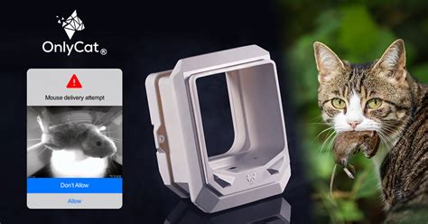 Onlycat The Worlds Smartest Cat Flap Indiegogo