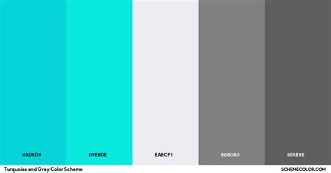 Turquoise And Gray Color Scheme Palettes