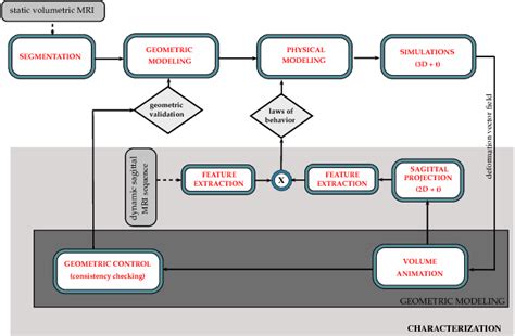 Figure 1 From Geometric Modeling Of Pelvic Organs Semantic Scholar