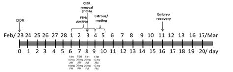 Superovulation Protocol And Embryo Recovery In Ewes At Decreasing Doses Download Scientific