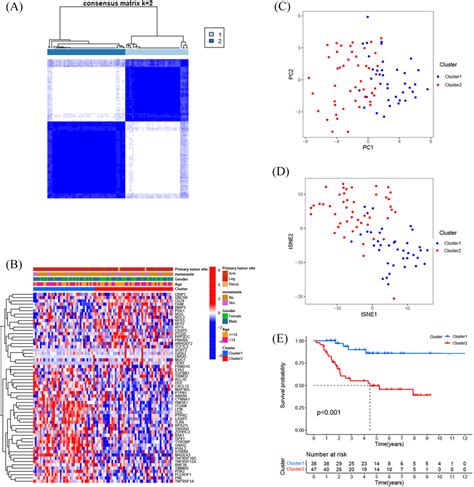 Consensus Clustering Analysis Based On The Apoptosis‐related Genes A Download Scientific