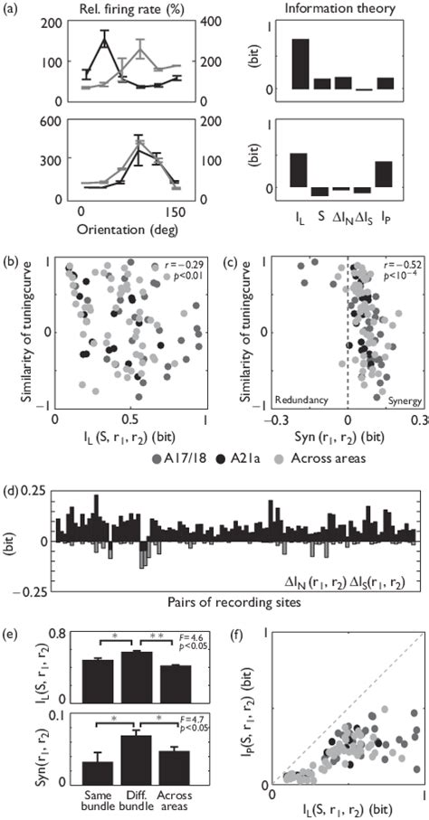 A Tuning Curves And Information Theoretic Analysis For Two Pairs Of