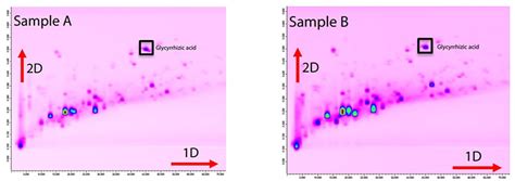 About Comprehensive Two Dimensional Lc Shimadzu Hrvatska