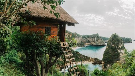 Treehouses You Can Stay In Close To The Amazon River