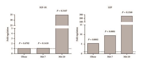 Genetic Expression Of Igf 1r And Lep Genes Insulin Related Pathway The Download Scientific