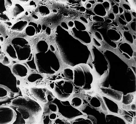Activated Carbon By Permatapintar Permatapintars Biotechnologist