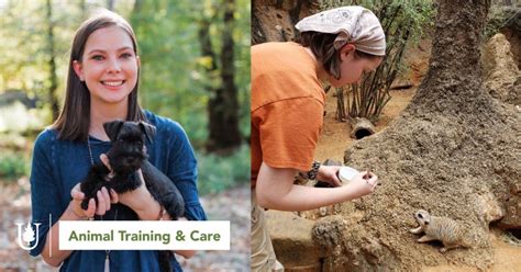 Unity Environmental University On Linkedin Environmentalscientist