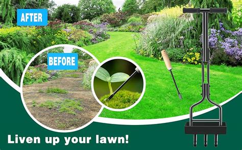 Fnwsja Manual Lawn Aerator With Tray And 3 Hollow Slots