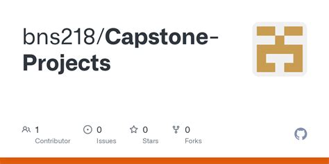 github bns218 capstone projects