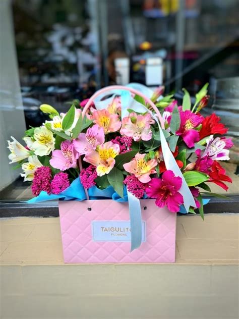 თაიგული Taiguli