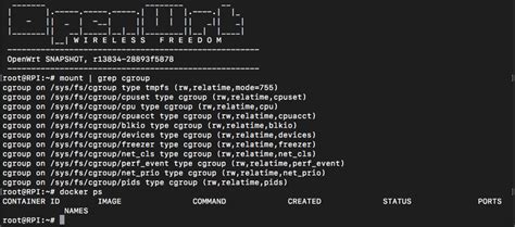 Docker Ce Broken Cgroup Subsystem Devices Is Missing Issue Openwrt Packages Github