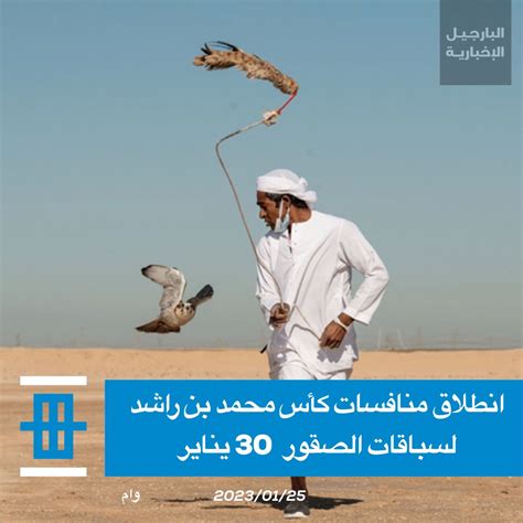 البارجيل الإخبارية انطلاق منافسات كأس محمد بن راشد لسباقات الصقور 30