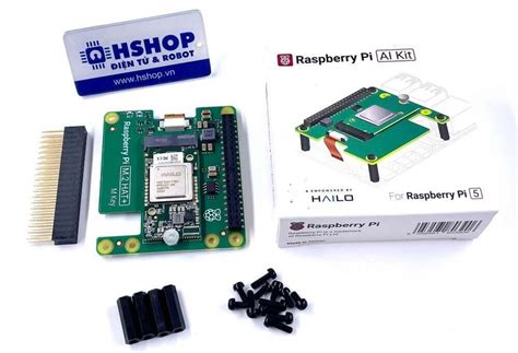 Raspberry Pi Ai Kit M2 Hat With 13 Tops Hailo 8l Ai Acceleration Module