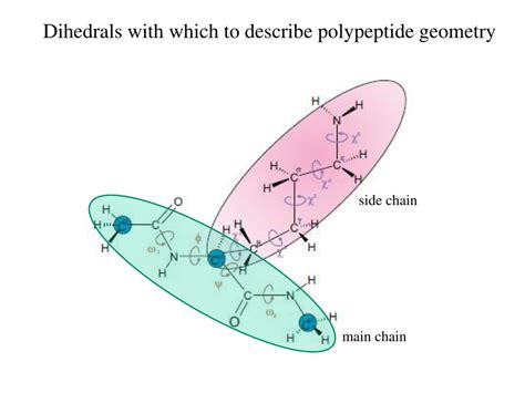 Ppt Local Geometry Of Polypeptide Chains Elements Of Secondary Structure Turns Powerpoint