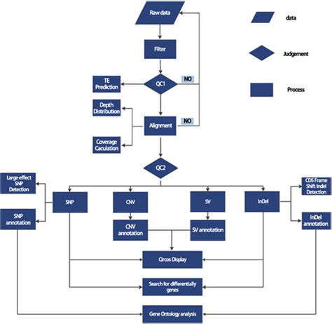 4 Workflow Of Standard Bioinformatics Analysis Download Scientific Diagram