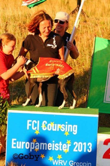 Devaj Whippet Zucht In Penc Pest Snautz