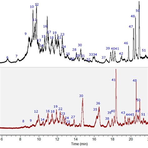 Photodiode Array Pda Chromatograms Uhplc Pda Of N Ramosissima