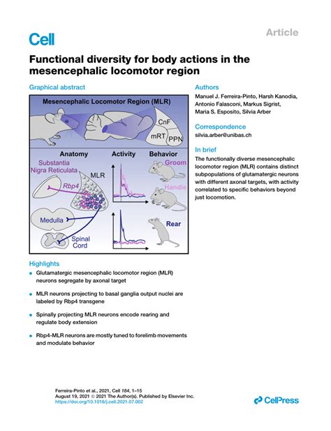 Pdf Functional Diversity For Body Actions In The Mesencephalic Locomotor Region