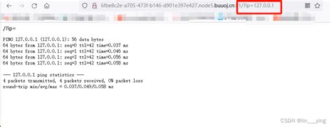 Buuctf Web1ctf Ping获取flag Csdn博客