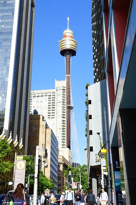 【澳洲自由行】悉尼市區必去景點推薦 ♥ 雪梨塔sydney Tower Eye風景超美 高妹。simple Life Wonderland