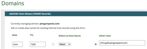 HowTo Configure Network Solutions DNS For GSLB On Citrix ADC NetScaler