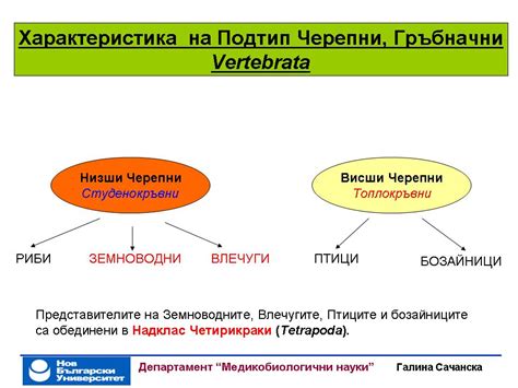 4 18 Животинско царство Гръбначни животни Земноводни и влечуги