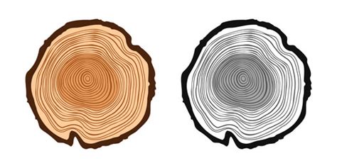 Trunk Texture Vector Images Over 7900