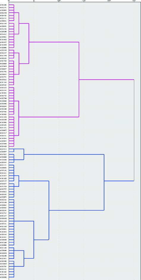 Dendrogram Resulting From A Hierarchical Cluster Analysis Two Clusters