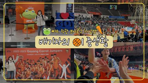 배기자의 이중생활 대길이 보러 안 갈고양 Vlog 직관 Ver Youtube