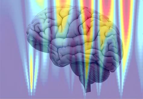 Applications Of Wavelets In Eeg Sapien Labs Shaping The Future Of Mind Health