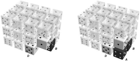 sequential construction of the lattice as a discrete markov chain by