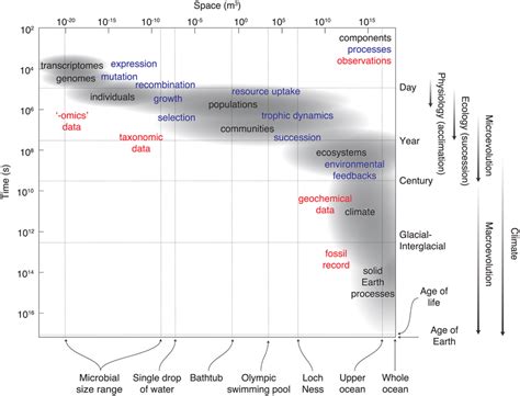Schematic Illustration Of The Temporal And Spatial Scales Of Download Scientific Diagram