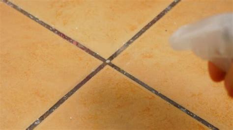 Trucos Caseros Para Limpiar Los Pisos De Cerámica En Pocos Minutos