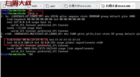 Xshell连接不上虚拟机 白眉大叔