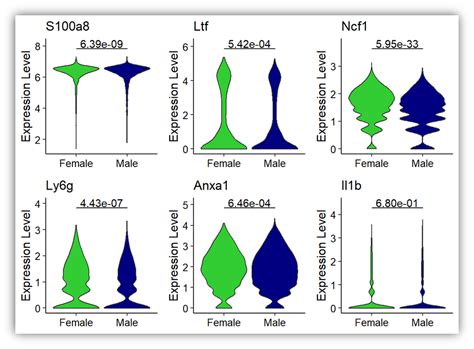 Seurat单细胞基因显著性检验函数及批量添加显著性vlnplot 加显著差异 Csdn博客