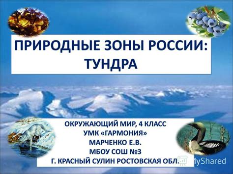 Презентация По Окружающему Миру На Тему Природные Зоны России 4 Класс Allegeinnovations