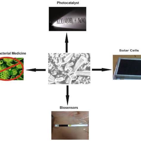 Applications Of Zno Nanoflower Download Scientific Diagram