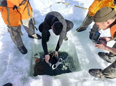 ОБЕГ ын Урьдчилан ОБЕГ ын Урьдчилан сэргийлэх мэдээлэл