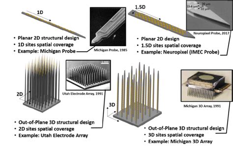 Figure1 Electrode Arrays Structural Design And Spatial Coverage A