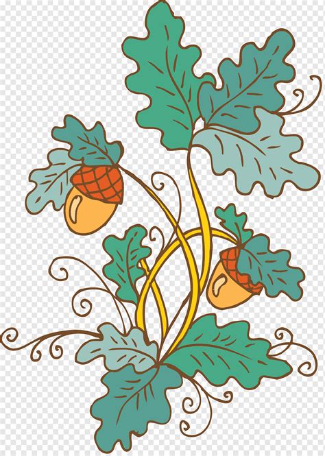 leaf food leaf branch png pngwing
